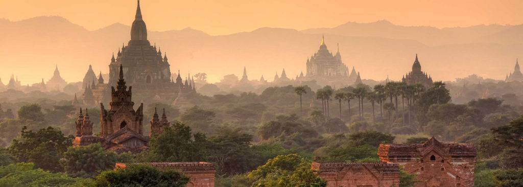 Traveller Tips | Peacock